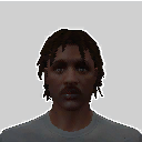 Officer Fleet - LCPDFR.com